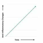 How Long For the Anti-Inflammatory Diet to Work? | unstucknutrition.com